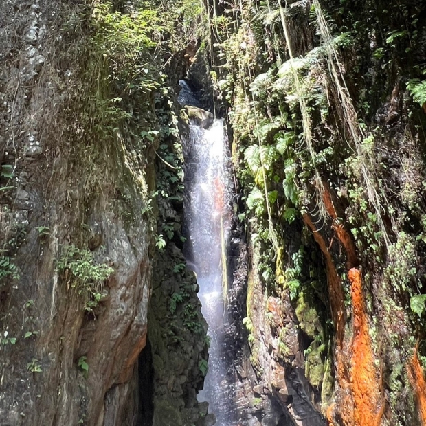 南投最美秘境 | 武界-大瀚旅行社